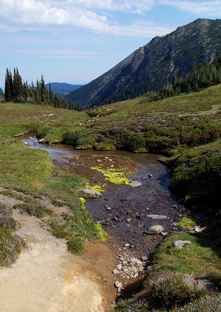Good and Bad Water: How to diagnose water quality in the backcountry ...