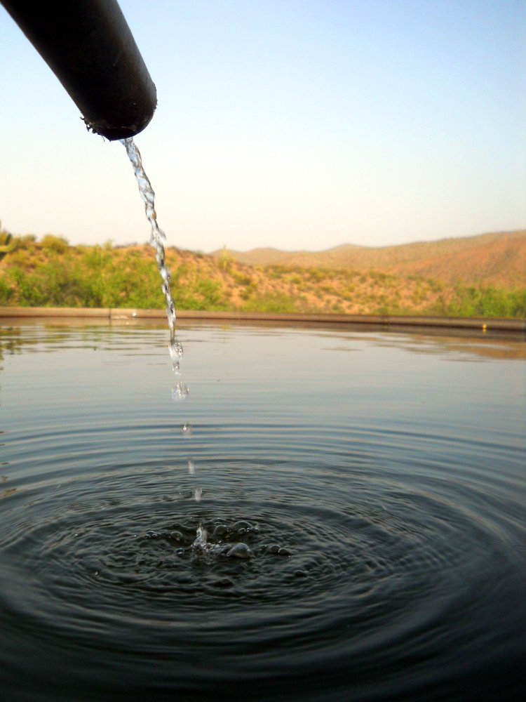 Managing Your Drinking Water: How to best utilize your water sources ...
