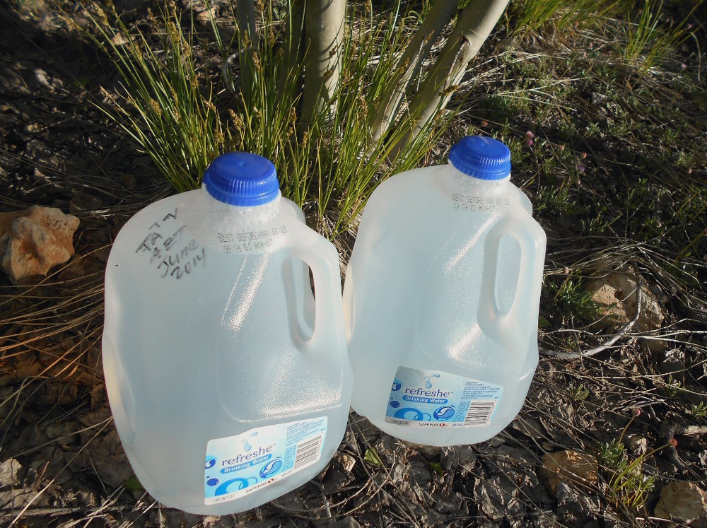 Managing Your Drinking Water: How to best utilize your water sources ...